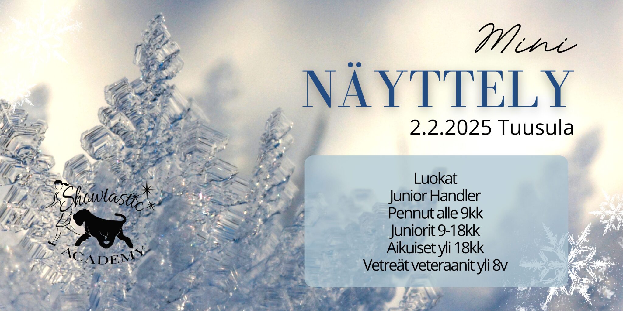 MiniNäyttely 2.2.2025 - Showtastic Academy - Näyttely Akatemia